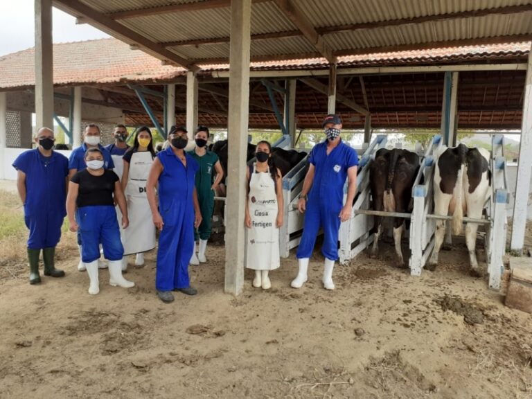 Curso de Inseminação Artificial forma profissionais na Estação ...